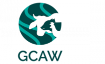Global Coalition for Animal Welfare